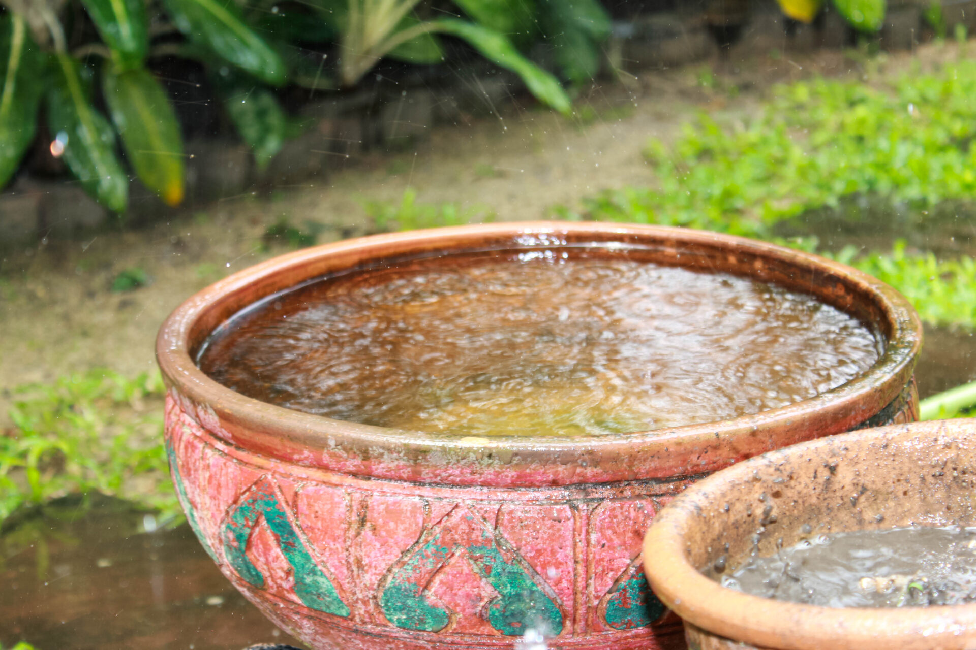 Fortune-Telling: What Is Hydromancy? How It Is Performed? – Tasteful ...